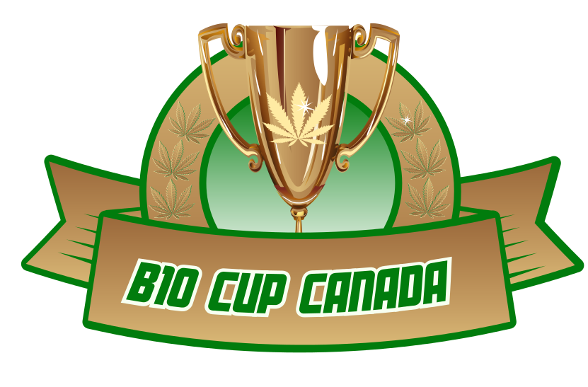 Cannabis Cup Winners - Home || Overview